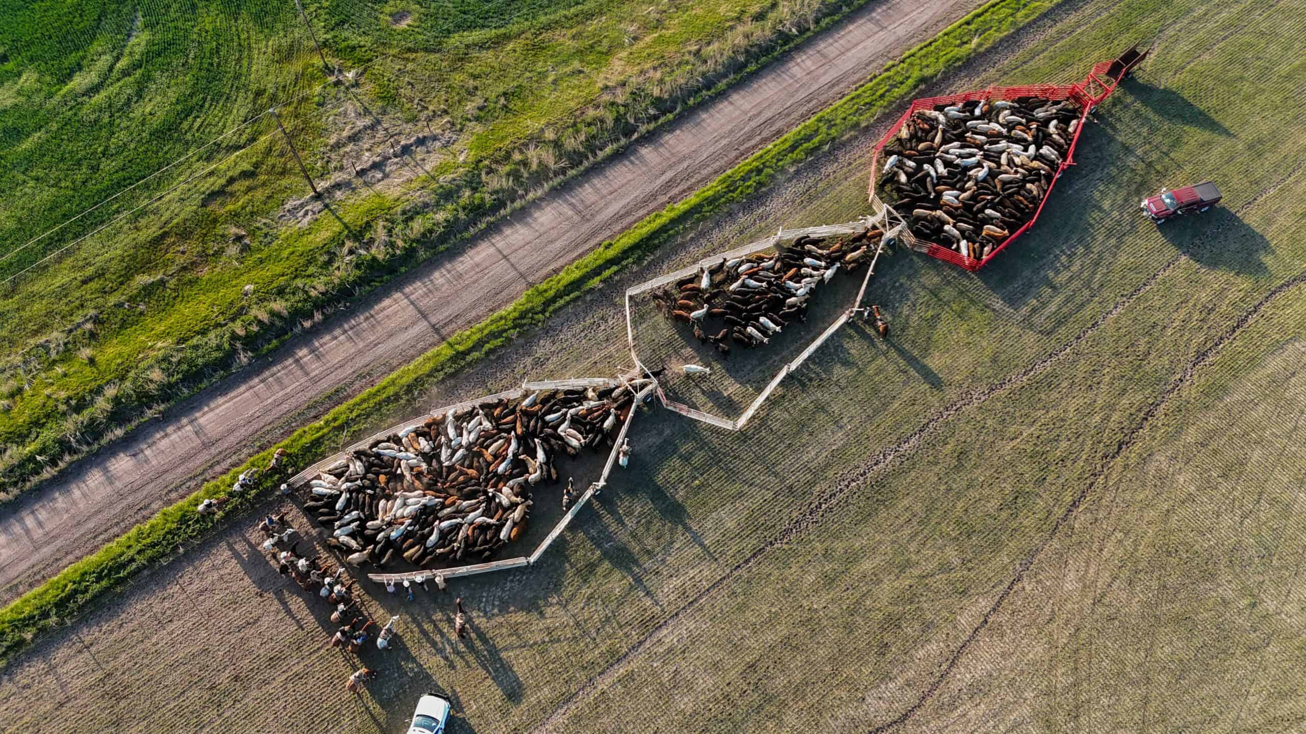 Value Added Programs | LiveAg